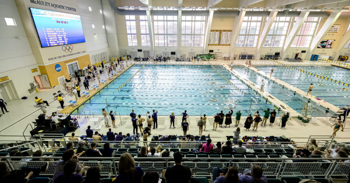 Swim-Dive to Compete in Final Regular Season Meet – Georgia Tech Yellow ...
