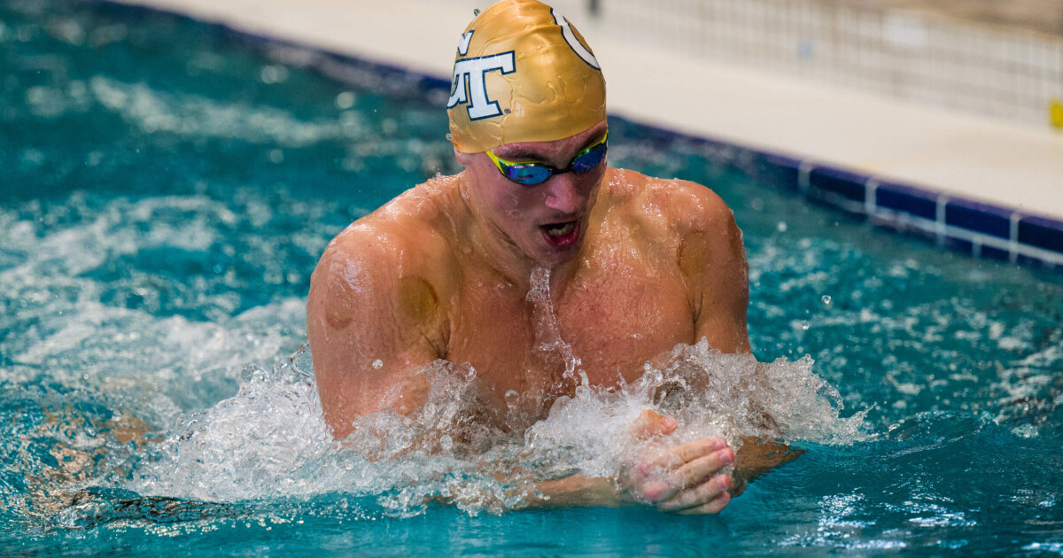 Men’s Swim and Dive Gears Up For NCAA Championships – Swimming & Diving ...