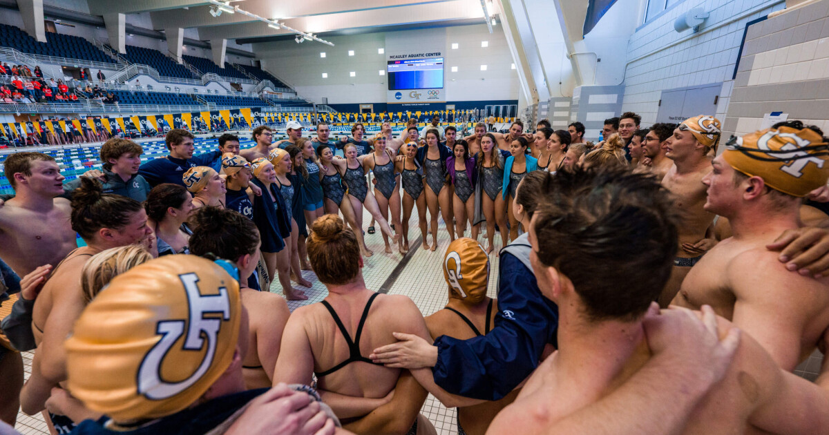 Tech Represented on ACC Swim & Dive Academic Teams – Georgia Tech ...