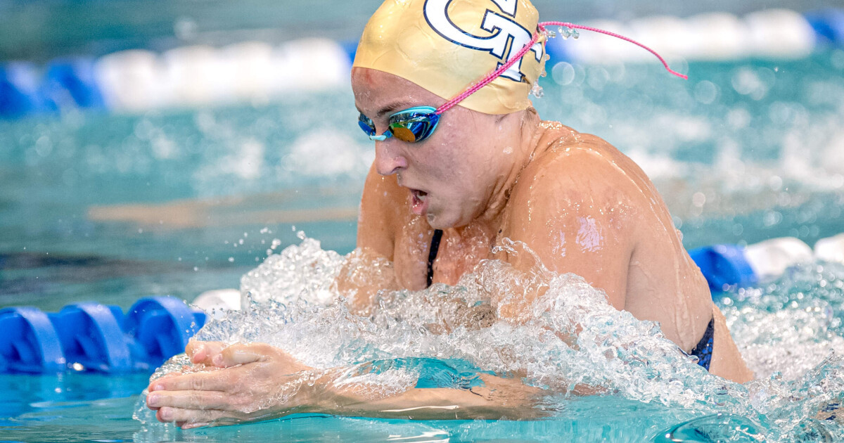PHOTOS: Swim-Dive Gold vs White – Swimming & Diving — Georgia Tech ...