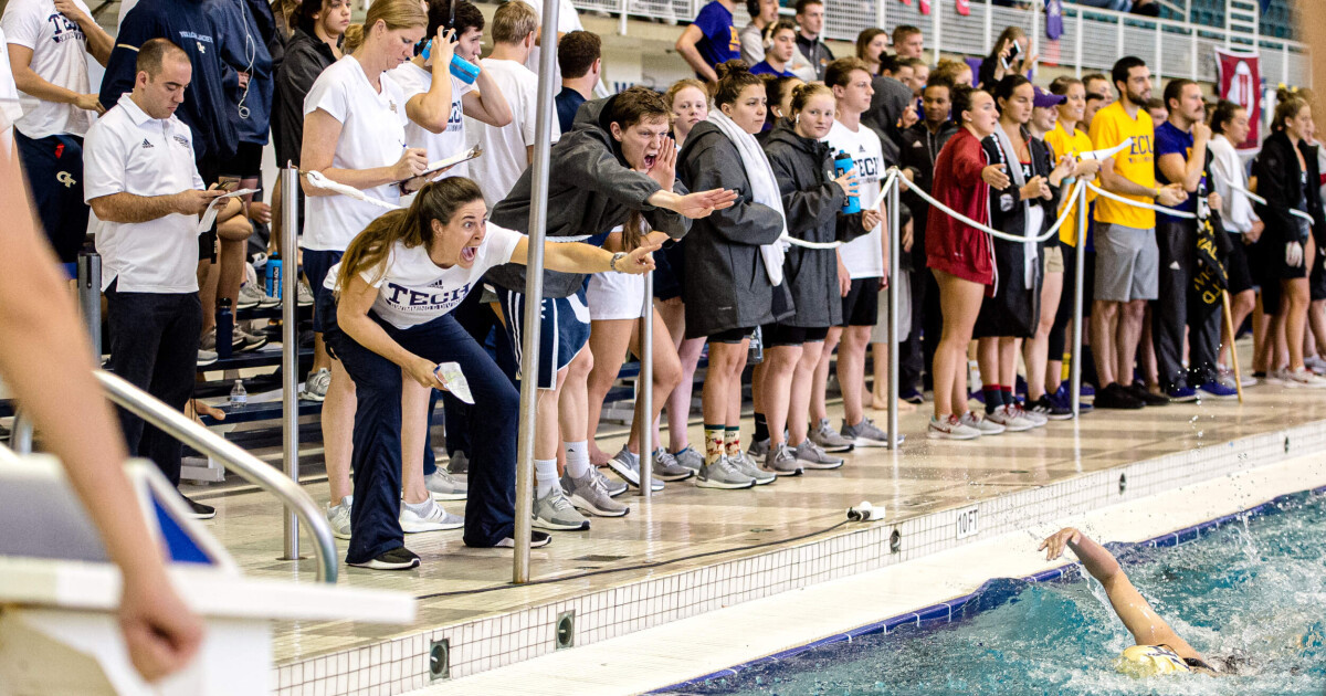 Swim-Dive Announces 2019-20 Team Awards – Swimming & Diving — Georgia ...