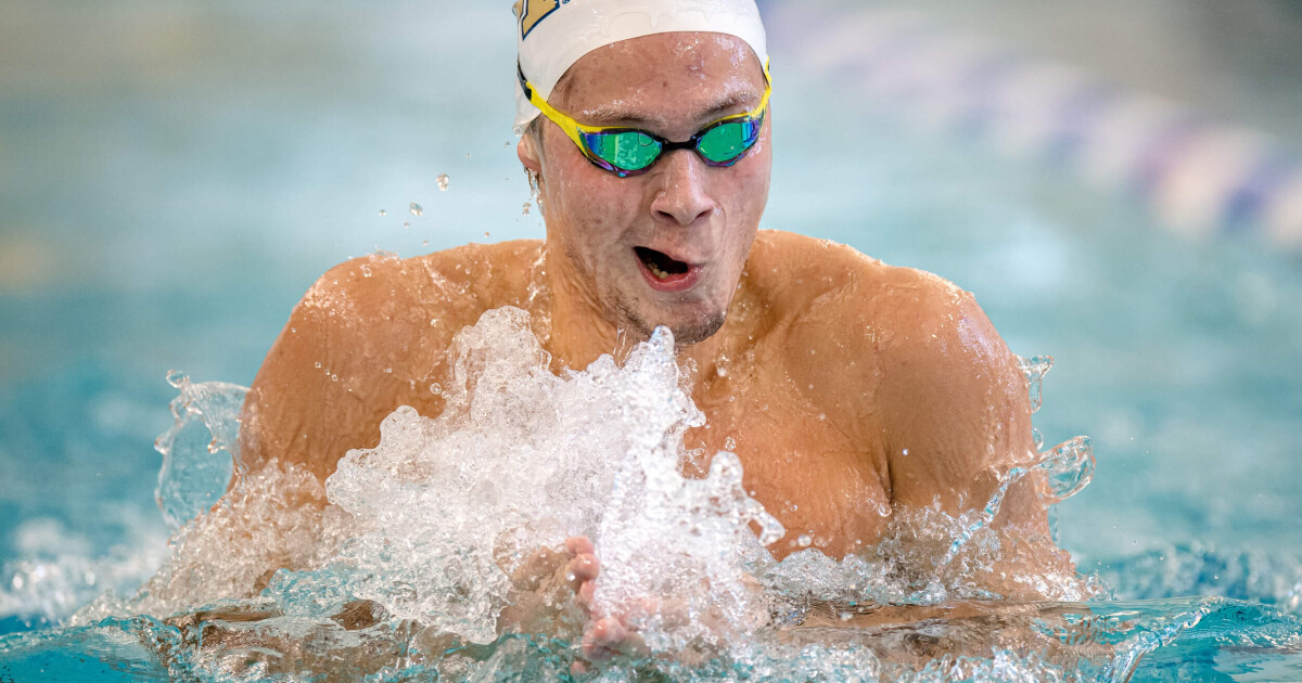 Swim-Dive Splits Road Meet at Florida State – Swimming & Diving ...