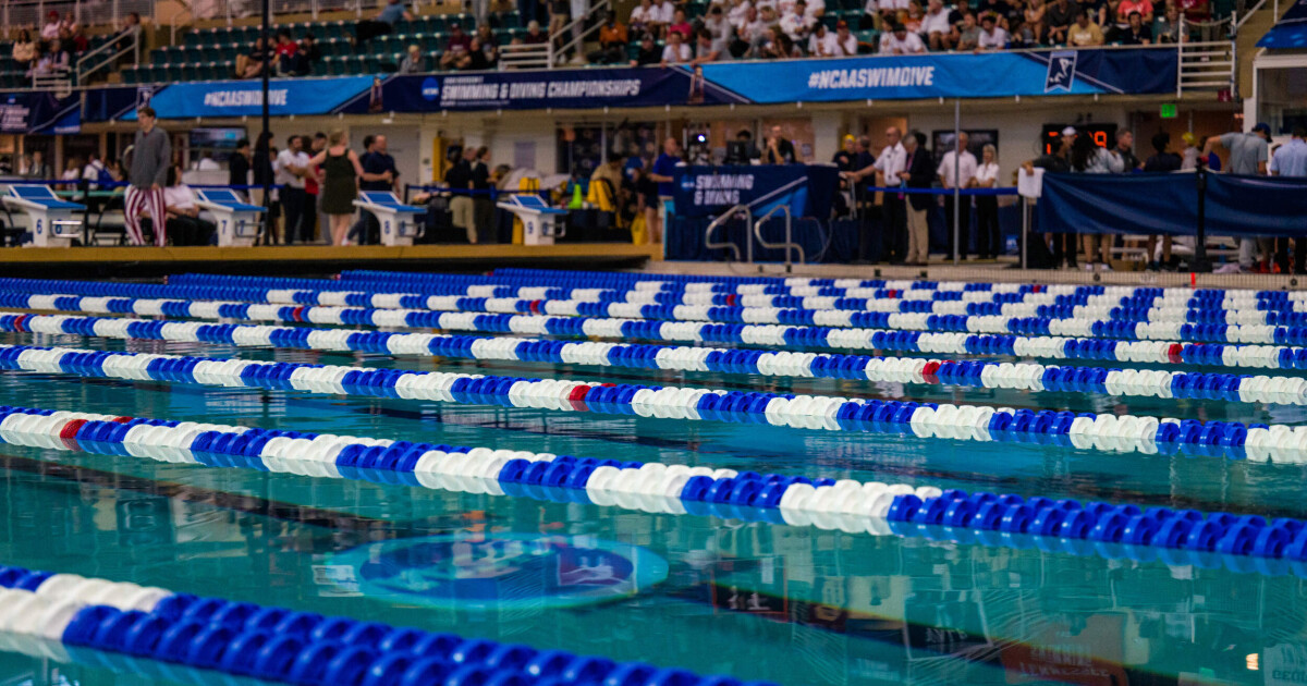 Tomley Joins Tech Swim-Dive Coaching Staff – Swimming & Diving ...