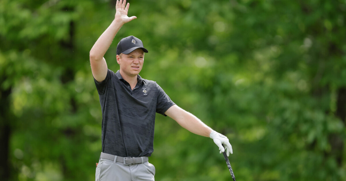 SPRING GALLERY: Freshman Golfer Albert Hansson – Men's Golf — Georgia ...
