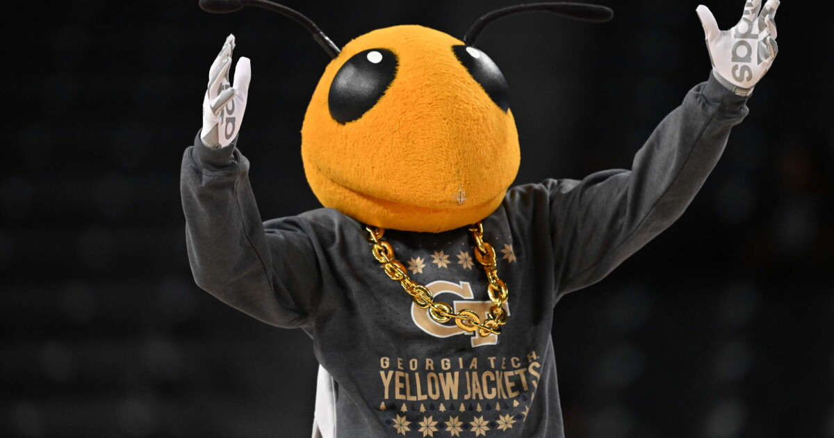 do yellow jackets buzz