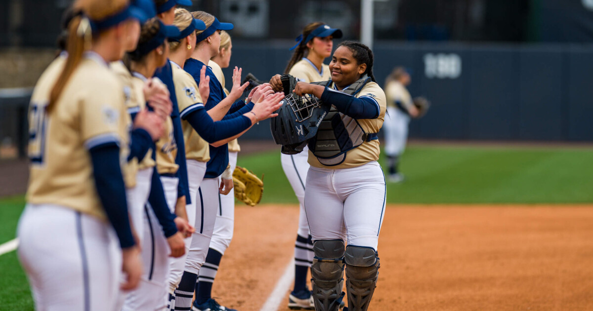 Single Game Tickets Now On Sale for Softball – Softball — Georgia Tech ...