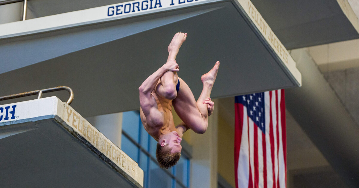 Fowler named ACC Diver of the Week – Swimming & Diving — Georgia Tech ...