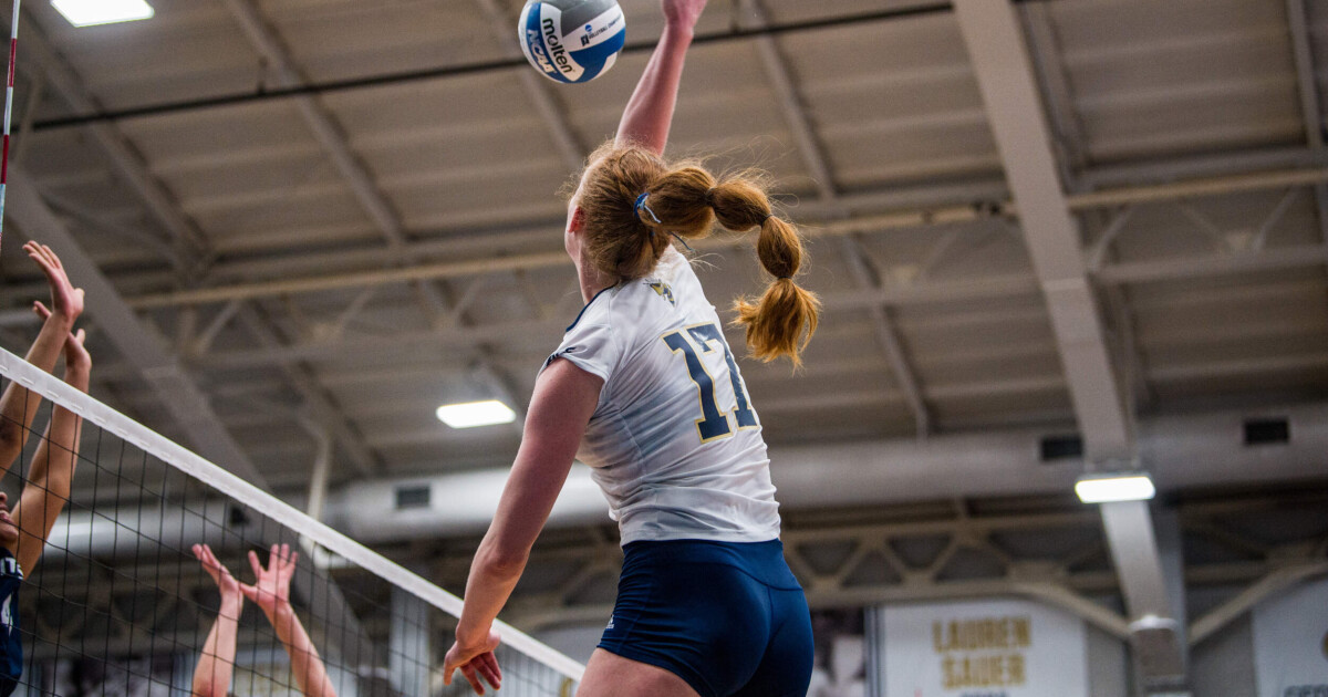 VIDEO: Volleyball Returner Highlights – Georgia Tech Yellow Jackets