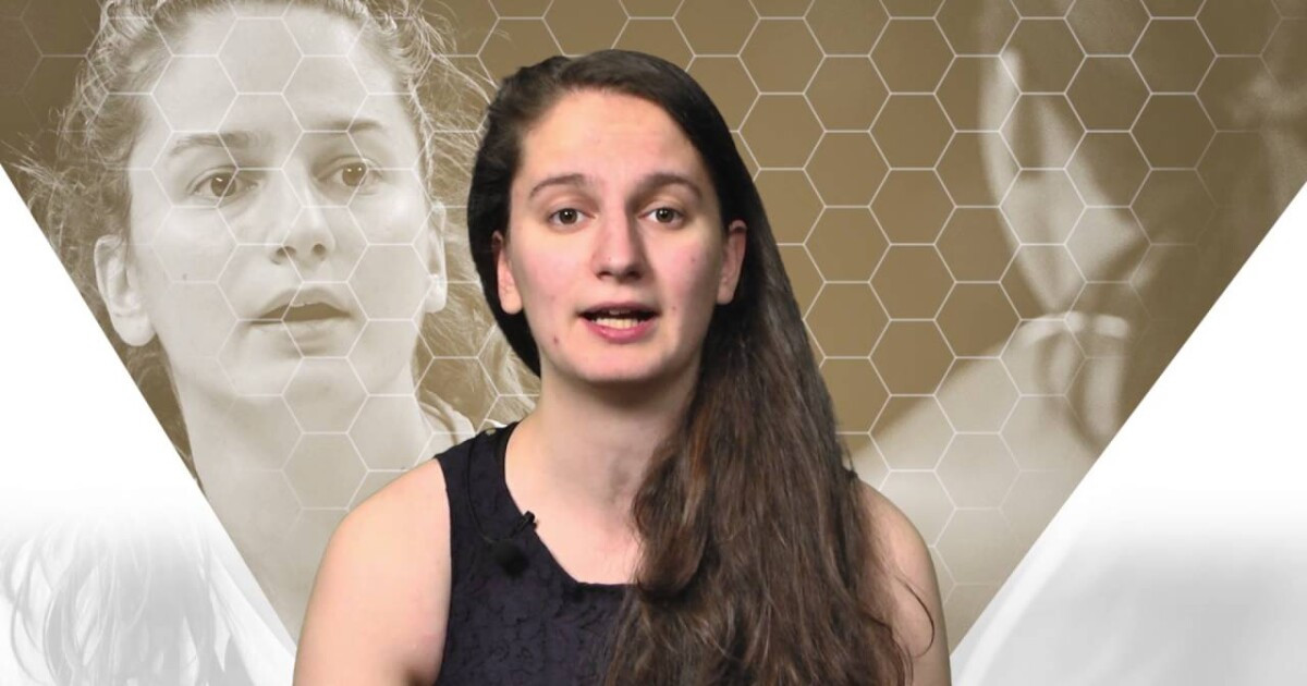 Georgia Tech Strategic Plan: Core Values – Georgia Tech Yellow Jackets