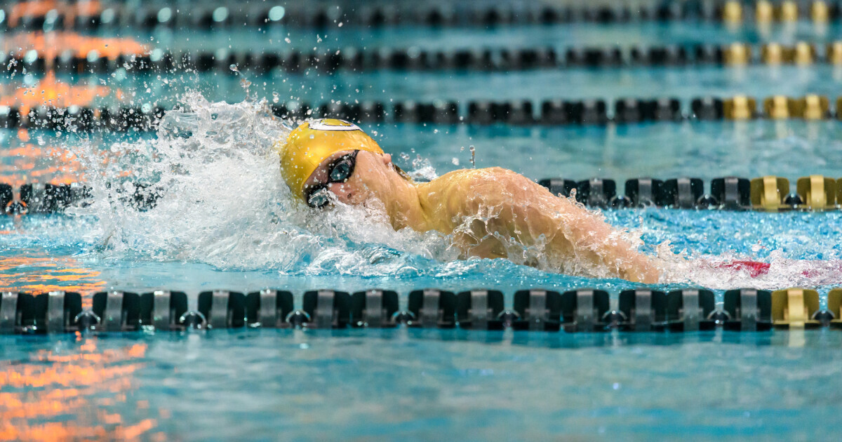 Williamson and Ilgenfritz Set for USA Swimming's Phillips 66 National ...