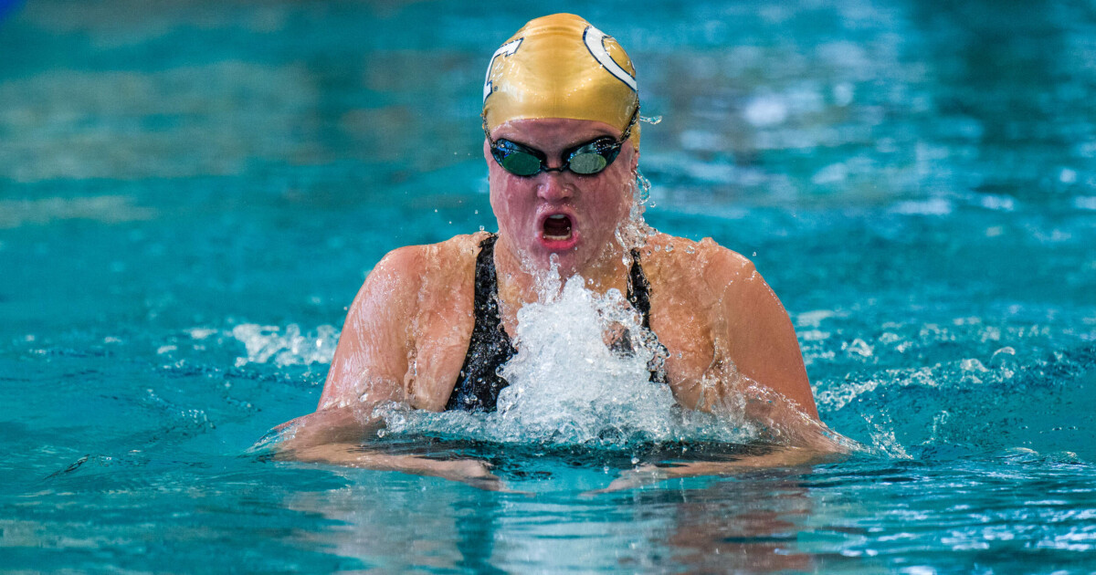 Yellow Jackets Head to South Carolina for Dual Meet – Swimming & Diving ...