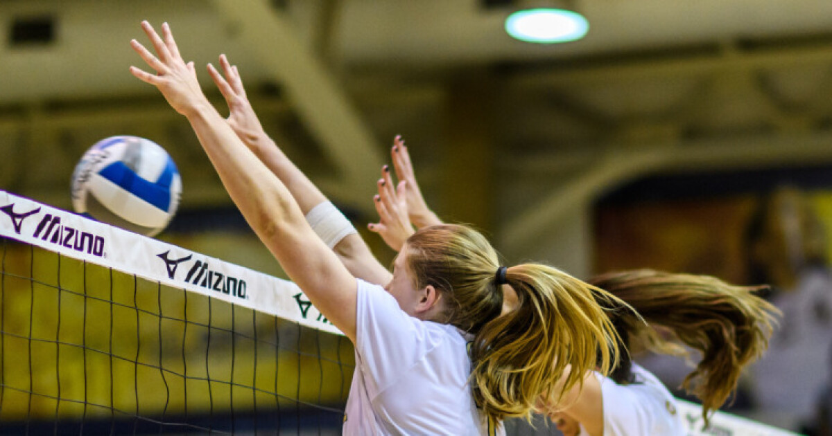 Volleyball Earns 20th Win; Sweeps Virginia Tech – Georgia Tech Yellow ...