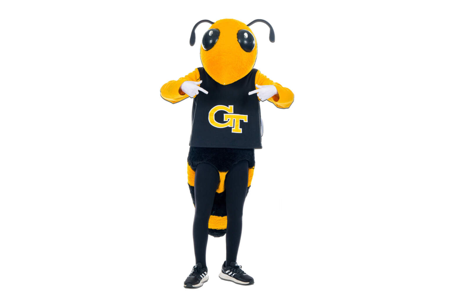 Buzz – gen — Georgia Tech Yellow Jackets
