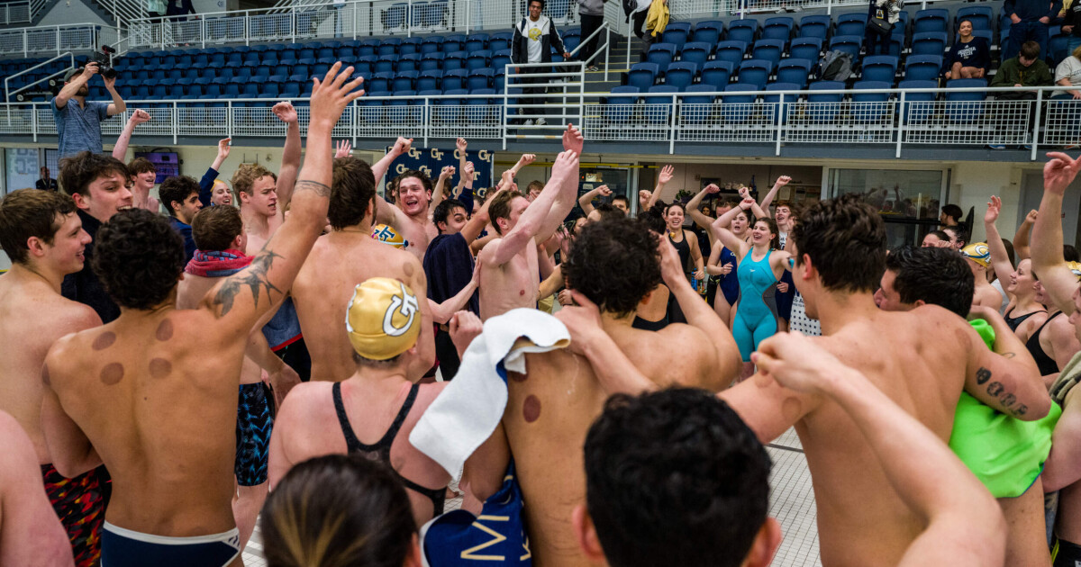 Swim-Dive Named 2024 Scholar All-America Teams – Swimming & Diving ...