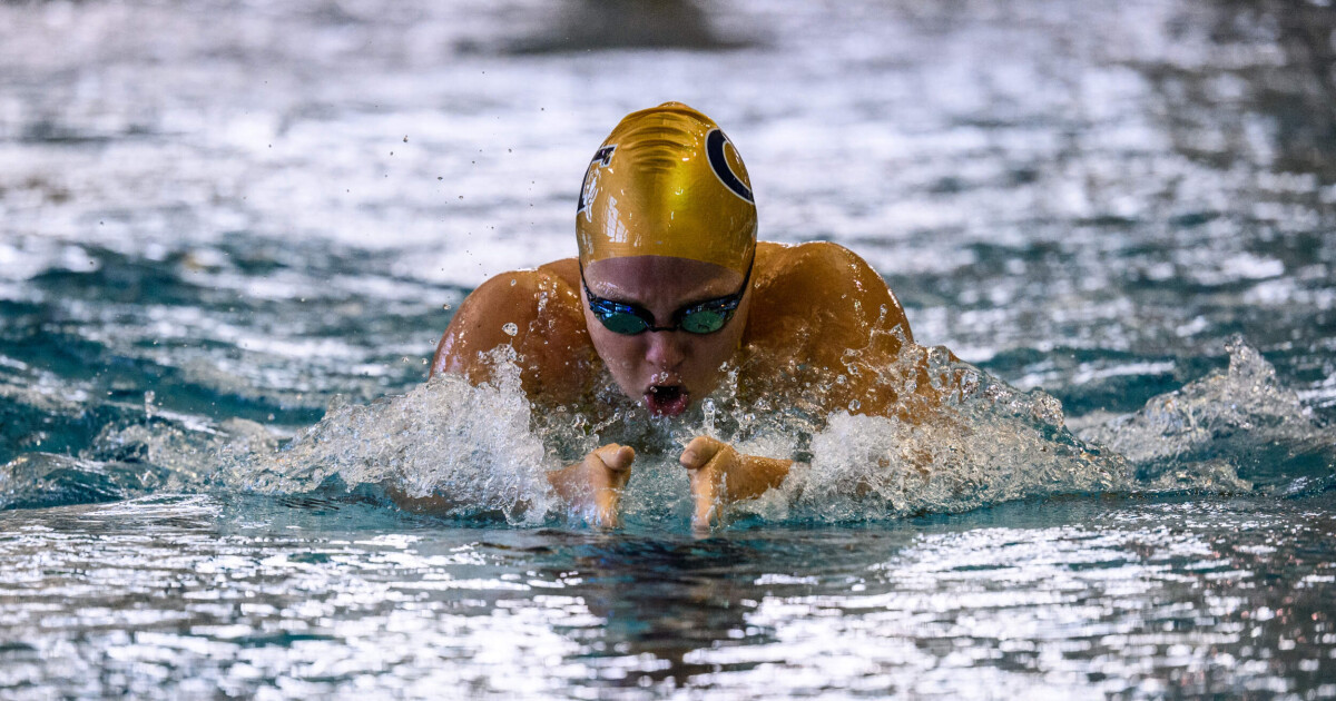 Swim-Dive Primed for FSU Dual Meet – Georgia Tech Yellow Jackets