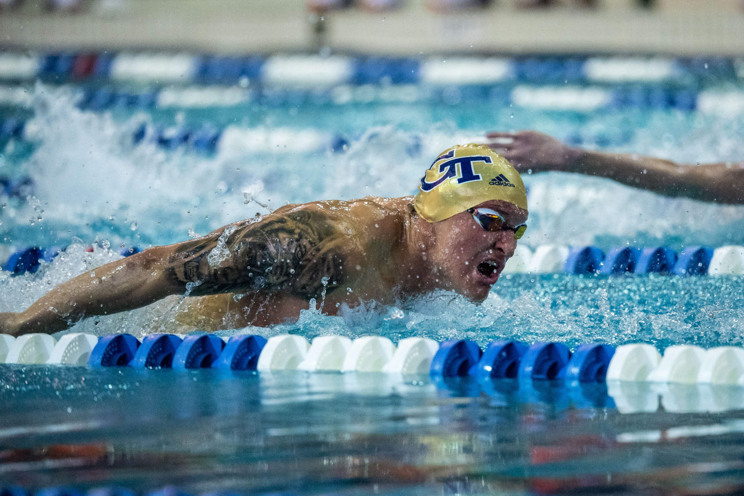 PHOTOS: Swim-Dive vs. No. 22/19 Auburn – Swimming & Diving — Georgia ...